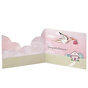 Hallmark Paper Wonder Paper Craft Baby Shower Card for Baby Girl (Stork), 4 X 5.5 Inches (499RZW1028)