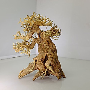 Bonsai Driftwood Aquarium Tree AM (8 Inch Height x 6 Inch Length) Natural, Handcrafted Fish Tank Decoration | Easy to Install