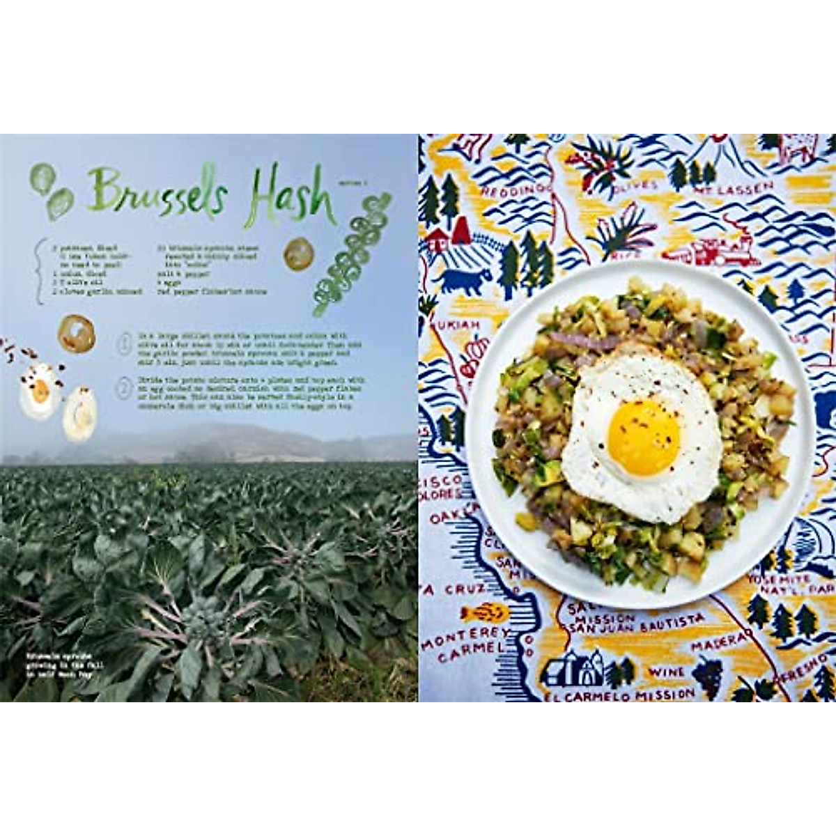 The Forest Feast Road Trip: Simple Vegetarian Recipes Inspired by My Travels through California
