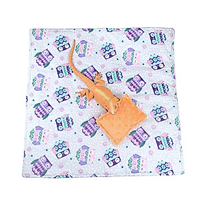 Soft Bearded Dragon Blanket with Pillow for Bearded Dragon Leopard Gecko Lizard Bath Towel Wrap to Snuggle or Sleep 18 × 18 Inch