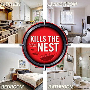 Combat Roach Killing Bait Stations for Small and Large Roaches, 6 Count (Pack of 1)