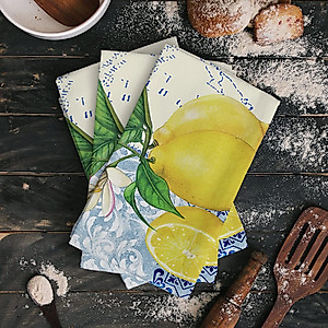 4 Pack Dish Towel for Kitchen,Absorbent Dishes Cloth Summer Farmhouse Yellow Lemons Soft Hand Towels for Home Cleaning Quick Drying Bathroom Cloths Terry Abstract Porcelain Tile