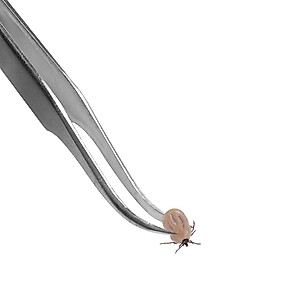 Tick Killer Platinum Tick Removal Tool Set, Stainless Steel Tick Remover Tweezers Kit, Protective Metal Case, Identification Card & Plastic Mini Bags