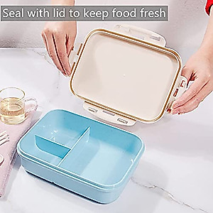 Dicunoy 4 Pack Bento Box, Lunch Box Container with 3 Compartments for Kids, Easy Snack Boxes with Utensils for Dinner, Salad, Toddler, Adults, School, Work