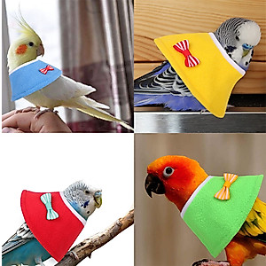 Bird Cone Collar 4 Pcs Set Pet Parrot Anti-bite Elizabethan Collars Protective Anti-Grab Feather Wound Healing Recovery Cones for Lovebird Cockatiel Budgerigar Parakeet Yellow Blue Red Green
