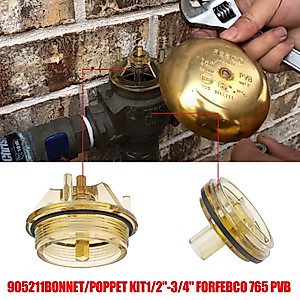 Febco 765-1 Repair Kit 905212 Bonnet and Poppe Repair Kit Compatible With febco 1 & 1-1/4 Inch ackflow Preventer and Pressure Vacuum Breaker