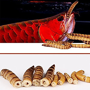 JackSuper 280g High Protein Turtle Food Mealworms Bulk Fresh Dried Mealworms Treats for Reptile Snacks Bird Chicken Fish Food