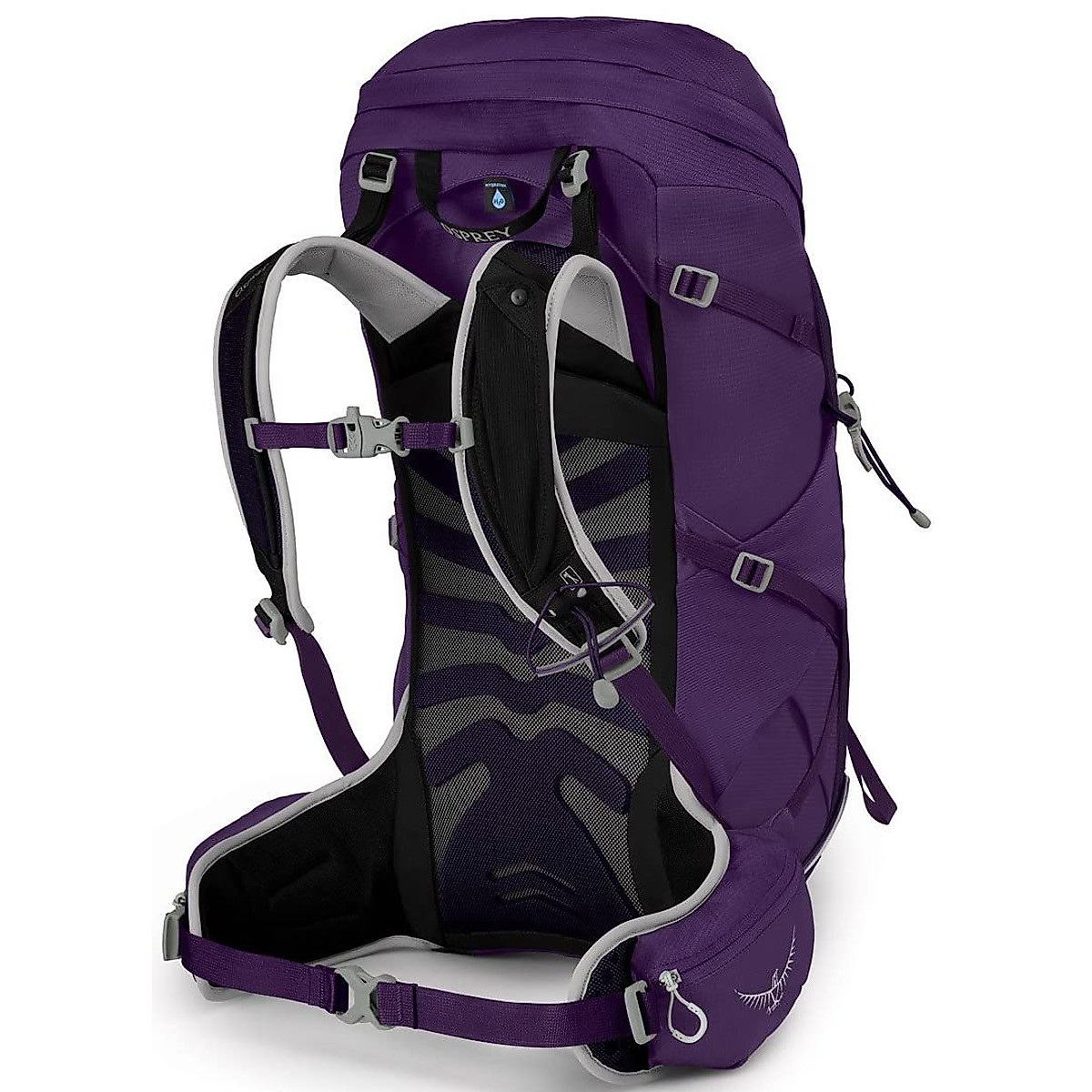 Osprey Tempest 34 Women's Hiking Backpack, Violac Purple, Medium/Large