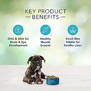 Blue Buffalo Freedom Grain Free Natural Puppy Dry Dog Food, Chicken 24-lb