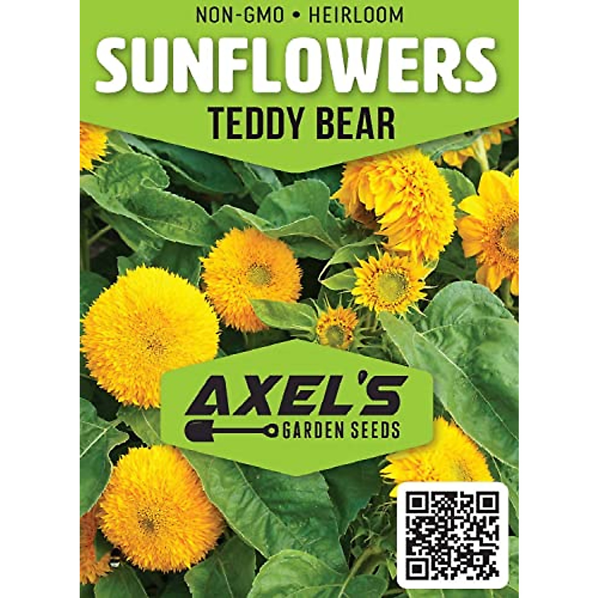 Dwarf Sunflower Seeds for Planting - Grow Teddy Bear Sun Flowers in Your Garden - 25 Non GMO Heirloom Seeds - Full Planting Instructions for Easy Grow - Great Gardening Gifts (1 Packet)
