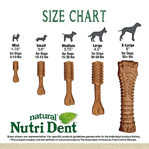 Nylabone Nutri Dent Dog Dental Chews - Natural Dog Teeth Cleaning & Breath Freshener - Dental Treats for Dogs - Filet Mignon Flavor, Medium (20 Count)