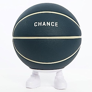 Chance Premium Indoor/Outdoor Basketball - Composite Leather (Sizes: 5 Youth, Size 6, Size 7) (Pebble - Teal, 7 Men's Official - 29.5")