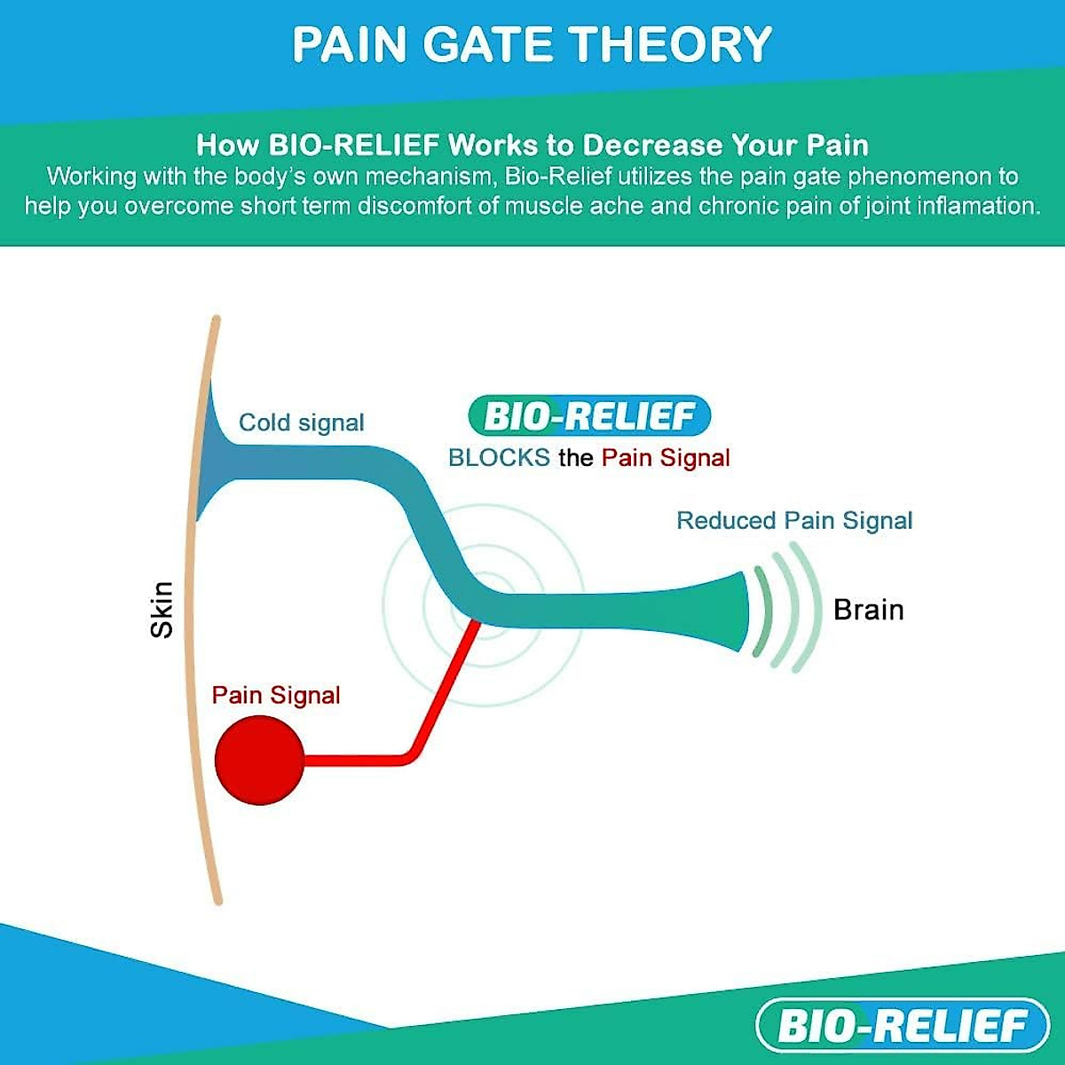 BIO-Relief Pain Roll On w 10% Menthol & Arnica | Highly Effective, Cool & Topical Pain Relief Extra Strength for Arthritis, Muscle, Joint, & Back - Easy Roll On Maximum Strength, Made in USA