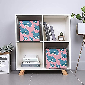 Cartoon Orca Whale Canvas Collapsible Storage Bins Cube Organizer Baskets with Handles for Home Office Car