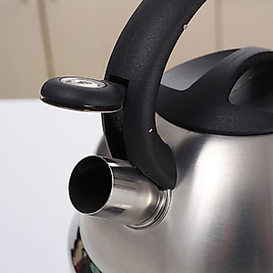 AYNEFY Whistling Tea Kettle, Stainless Steel, Easy to, Suitable for Induction Cooker and Gas Stove, AYNEFY2U6OBNVTI4
