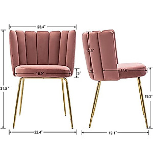 DM Furniture Velvet Dining Chairs Set of 2 Modern Accent Chair Upholstered Side Chair with Gold Metal Legs for Home Kitchen Living Room, Pink