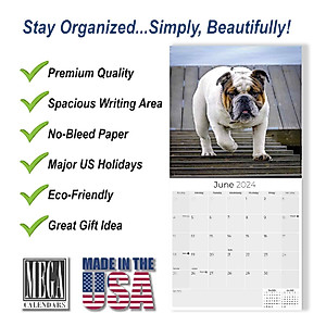 2023 2024 Bulldog Calendar - Dog Breed Monthly Wall Calendar - 12 x 24 Open - Thick No-Bleed Paper - Giftable - Academic Teacher's Planner Calendar Organizing & Planning - Made in USA