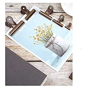 Zittop 4 Pack Bulldog Duckbill Metal Binder Clips, Invoice Bill Clip Utility Paper Clips for Office Home Use (Bronze, 40mm)