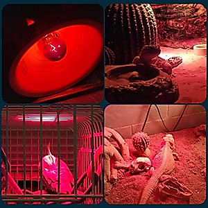 HANJION 2 Pack Reptile Red Light Bulb 75W Reptile Infrared Basking Spot Lamp of Bearded Dragon Light Bulbs for Reptile & Amphibian