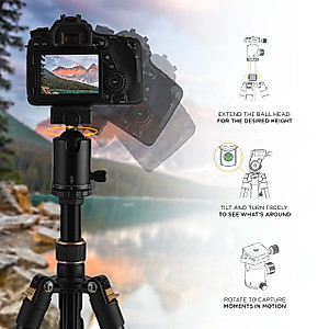 KODAK Photo Gear 63” Tripod & Monopod with 360° Ball Head | Premium Professional 2-in-1 Aluminum Camera Stand with Bluetooth Remote Control & Smartphone Adapter | Compact & Portable for Work & Travel