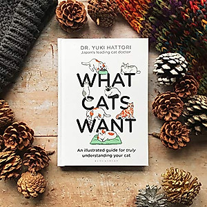 What Cats Want: An illustrated guide for truly understanding your cat
