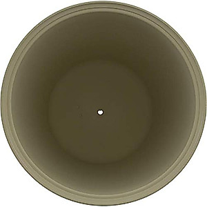 Pentair 178582 Lid Tank Assembly Replacement Pool and Spa Filter
