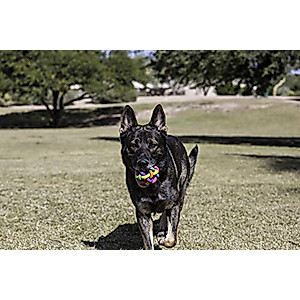 Multi Pet Nobbly Wobbly Dog Rubber Ball-Medium, for Small breeds