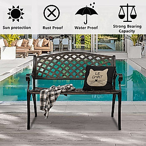 JOYBASE Outdoor Bench, Garden Patio Bench with Backrest, All-Weather Aluminum Frame, Patio Furniture Decor, Rustic Outdoor Loveseat for Lawn, Porch and Park (Bronze)