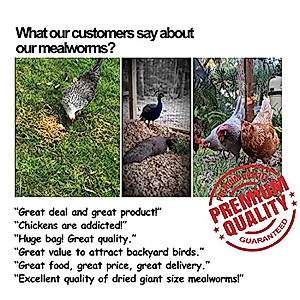 Amzey Dried Mealworms - 2 Pack 3.5OZ (7OZ Total) - High Protein Non GMO Mealworms - Great for Bearded Dragon, Birds, Fish, Lizard, Ducks, Chickens, Hamsters, Hedgehogs,Turtle Food, Reptile Food