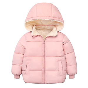 TUONROAD Toddler Coats for Girls 24 Months Baby Winter Puffer Jackets 2T 3T Kids Thicken Fleece Down Alternative Clothes 2 3 Years Cute Princess Birthday Dressing Up Zipper Hoodies Sweatshirts