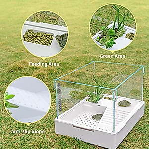 BETAZOOER Turtle Tank with Adjustable Water Pump Filter, Full View Visually Tortoise Aquarium Habitat, Easy Changing Water and Clean for Small Amphibious Creatures Reptiles (15.7×11.8×10Inch)