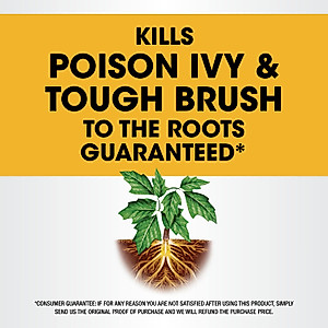 Roundup Ready-To-Use Poison Ivy Plus Tough Brush Killer, for Weeds, Grass, Stumps and Vines, Trigger Sprayer, 1 gal