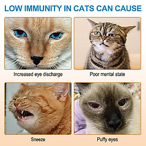 L-Lysine Powder for Cats, 120g Lysine Powder Supports Cats Immune System, Respiratory Health & Visual Function – Lysine Powder Improve Cats Eye Discharge, Pets Health Supplies, Salmon Flavor - 4.23oz