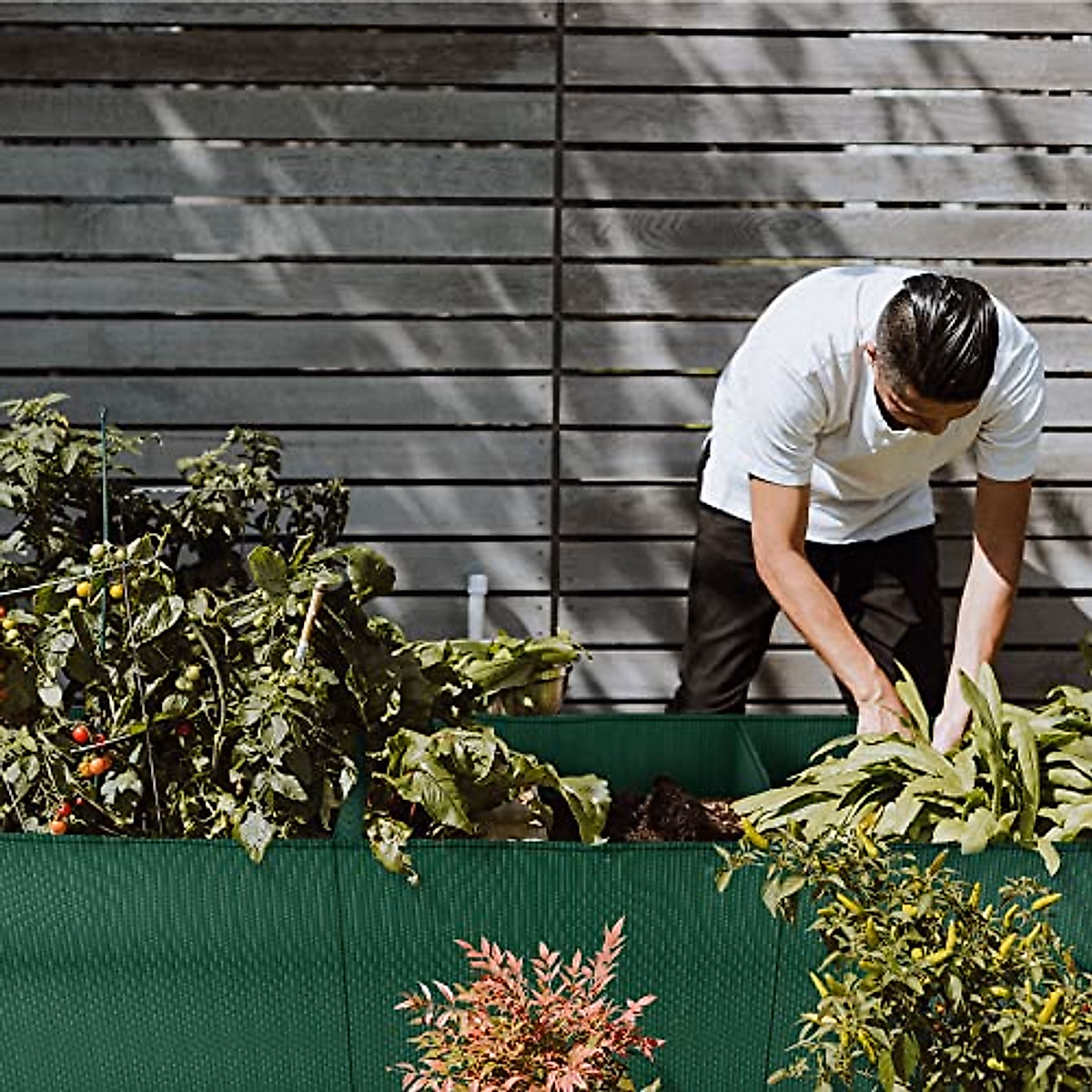 UCandy Pack 2 of Raised Garden Bed with 3 Partition Grids,Durable PE Fabric Planters Grow Bags,Suitable for Potato,Tomato,Flower,Vegetable Plant Container (2)