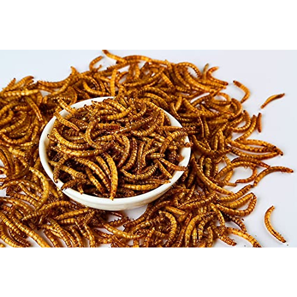 Hatortempt 10lbs Bulk Non-GMO Dried Mealworms for Reptile, Tortoise, Amphibian, Lizard, Wild Birds, Chickens, Duck, Poultry etc