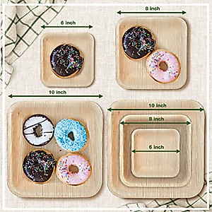 Palm Leaf Plates - Compostable and Grease Resistant 6 Inch Square Plates - Eco Friendly Plate is 100% Natural, Sturdy & Microwave Safe - Disposable & Biodegradable Wood Alternative to Bamboo Plates