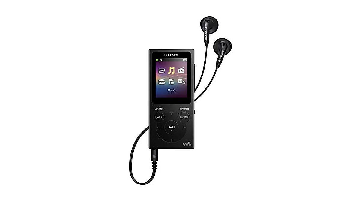 Sony NW-E394 Walkman 8GB Digital Audio Player & Case