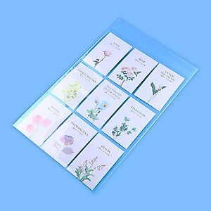 iMailer 100 Count - 14" x 20" Self Seal Clear Cello Cellophane Resealable Plastic Poly Bags for Clothing, T-Shirts, Pants