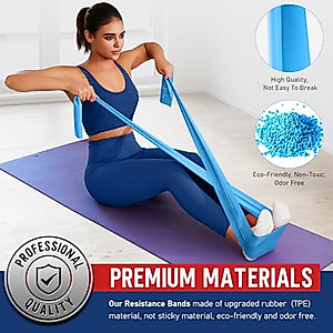 WALITO Resistance Bands for Working Out, Exercise Bands for Women and Men, Workout Bands for Physical Therapy, Stretch, Recovery, Pilates, Rehab, Strength Training and Home Gym