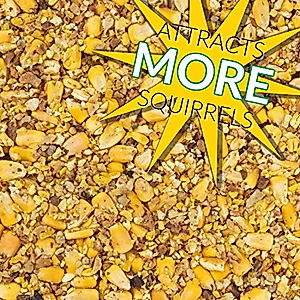 C&S Squirrel Snak, 6 Pack