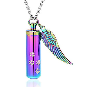 shajwo Cremation Jewelry Paw Print Urn Necklaces for Human Pet Ashes Cylinder Urn Pendant Keepsake Memorial Ash Locket Holder Necklace for Men Women,Rainbow