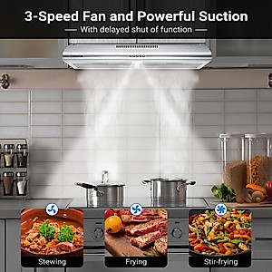 AMZCHEF Under Cabinet Range Hood 30 Inch, 250CFM Stainless Steel Kitchen Stove Vent Hood 3 Speed Exhaust Fan Button Control LED lights Dishwasher-Safe Aluminum Filters with Charcoal Filter