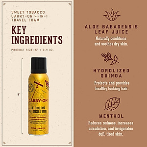 18.21 Man Made Carry On Sweet Tobacco 4-in-1 Travel Foam, Shampoo, Conditioner, Wash & Shave, Carry-On Friendly, 3.4 fl. oz