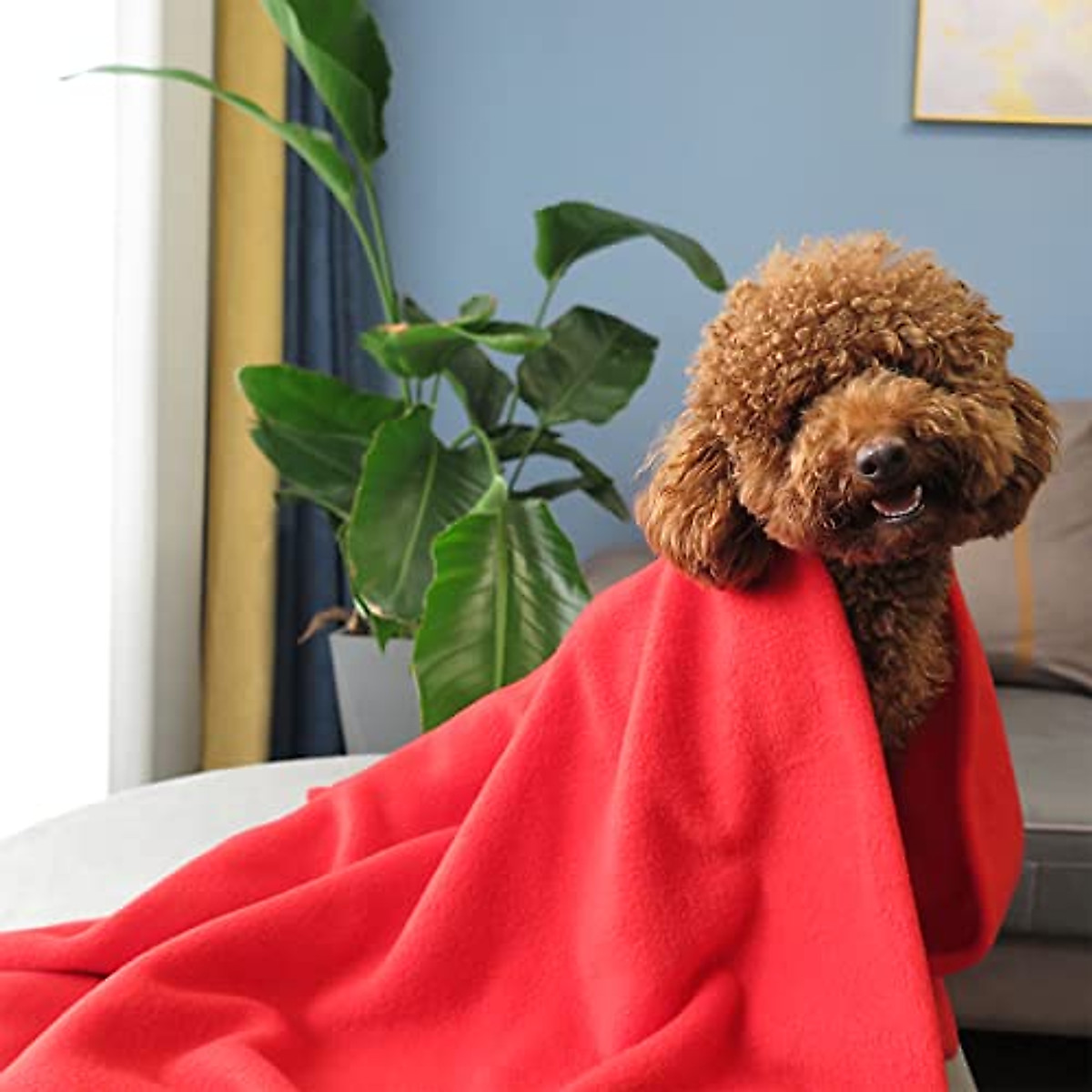 Ngawari Fleece Throw Blanket Lightweight Soft Warm Cozy Pet Blanket (Red, 50 * 60 Inch)