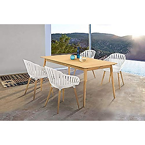 Armen Living Nassau Outdoor Patio Arm Dining Chairs, 17" Seat Height, Set of 2, Eucalyptus and Sand Taupe