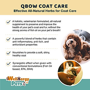 Holistic All-Natural Herb Formula Skin & Coat Support for Dogs & Cats - Aid for Dry, Flaky, Itchy Skin, Hot Spot, Allergies. Provides Anti-Itch, Anti-inflammatory Relief - WellnergyPets Coat Care 60ct