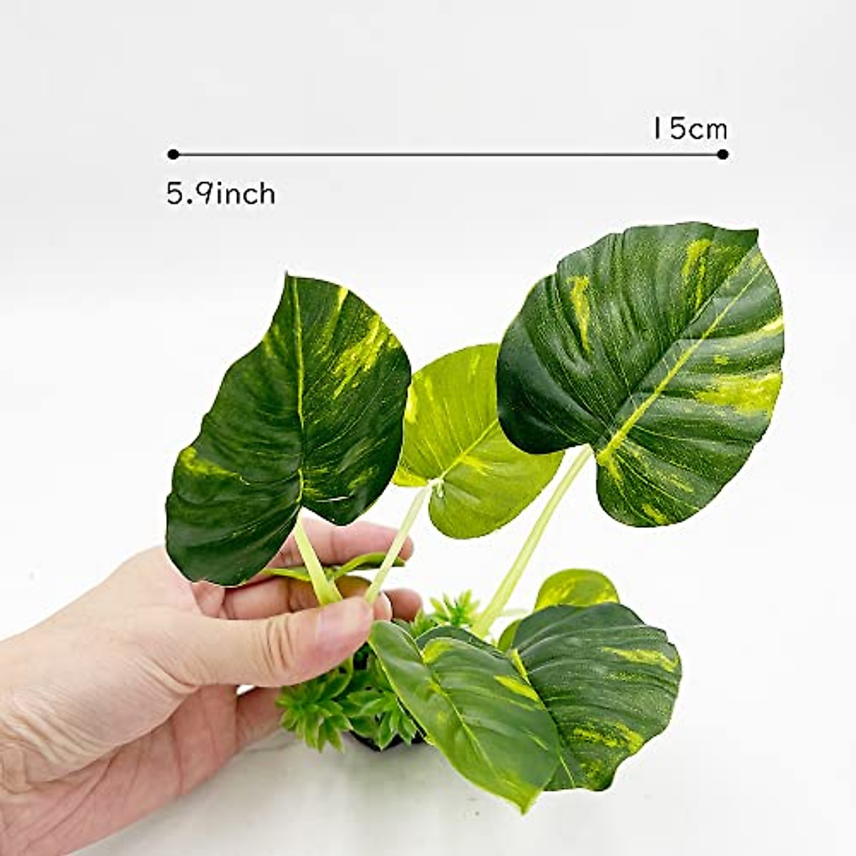Smoothedo-Pets Aquarium Plants Fish Tank Decorations Plastic Artificial Plant Goldfish Waterscape Betta Fish Hides/Rest (Rainforest Leaf)