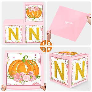 Fall Pumpkin First Birthday Balloon Boxes One Box Blocks Decorations Thanksgiving Birthday Cake Smash Party Photo Props Backdrop (Pink)