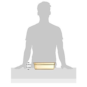 Carlisle FoodService Products 3086113 StorPlus High Heat Food Pan, 4" Deep, Third Size, Amber