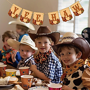 Dalaber Yee Haw Banner, Western Cowboy Party Decoration Banner, Wild West Boys Birthday/Baby Shower/Bridal Shower/Wedding Party Supplies, Brown